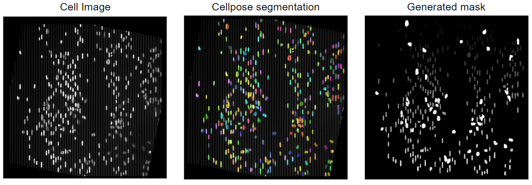 GitHub - souheib1/Refinement-of-DL-approaches-for-unsupervised-cell-segmentation-classification ...