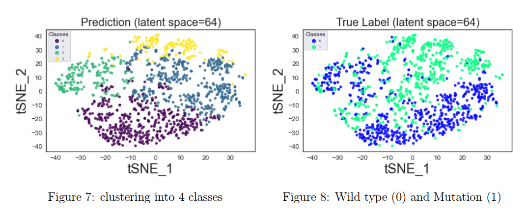 GitHub - souheib1/Refinement-of-DL-approaches-for-unsupervised-cell-segmentation-classification ...