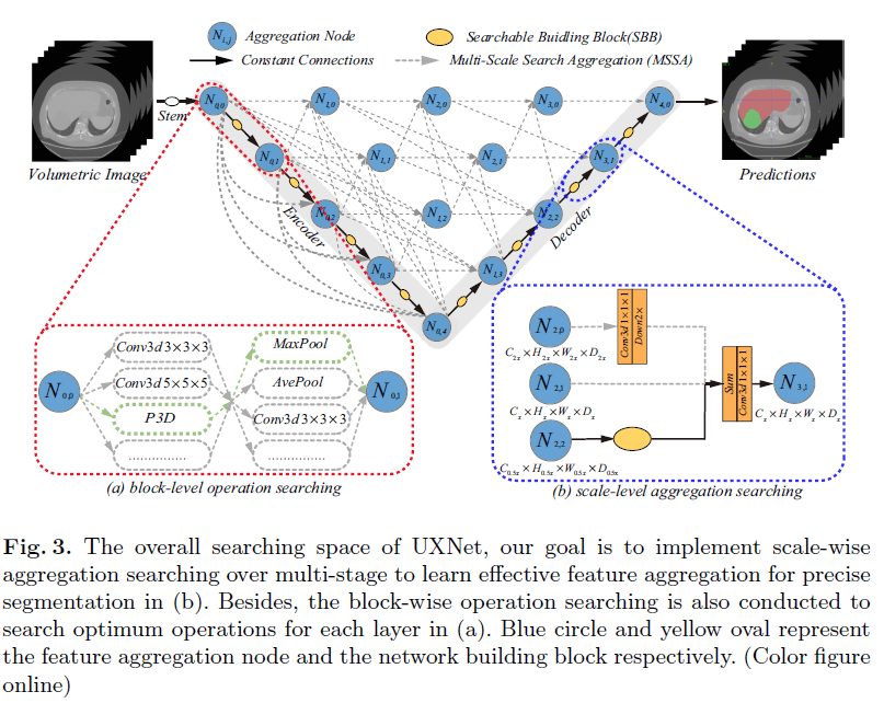 UXNet: Searching Multi-level Feature Aggregation for 3D Medical Image Segmentation · Issue #49 ...