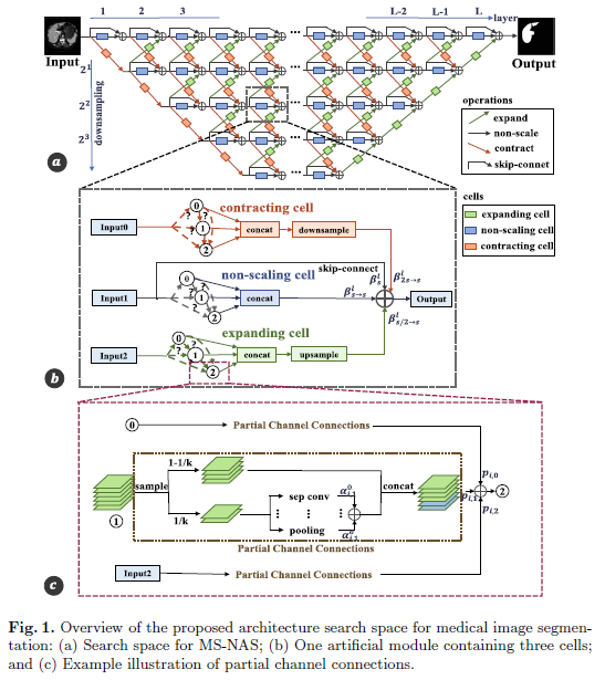 MS-NAS: Multi-scale Neural Architecture Search for Medical Image ...