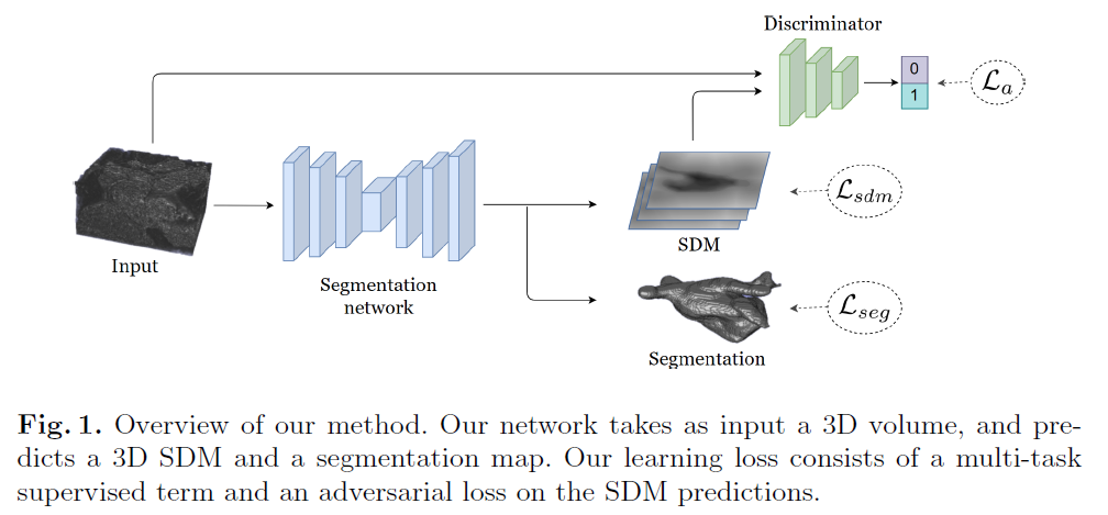 Shape-Aware Semi-supervised 3D Semantic Segmentation for Medical Images · Issue #78 · 3D-ICE ...