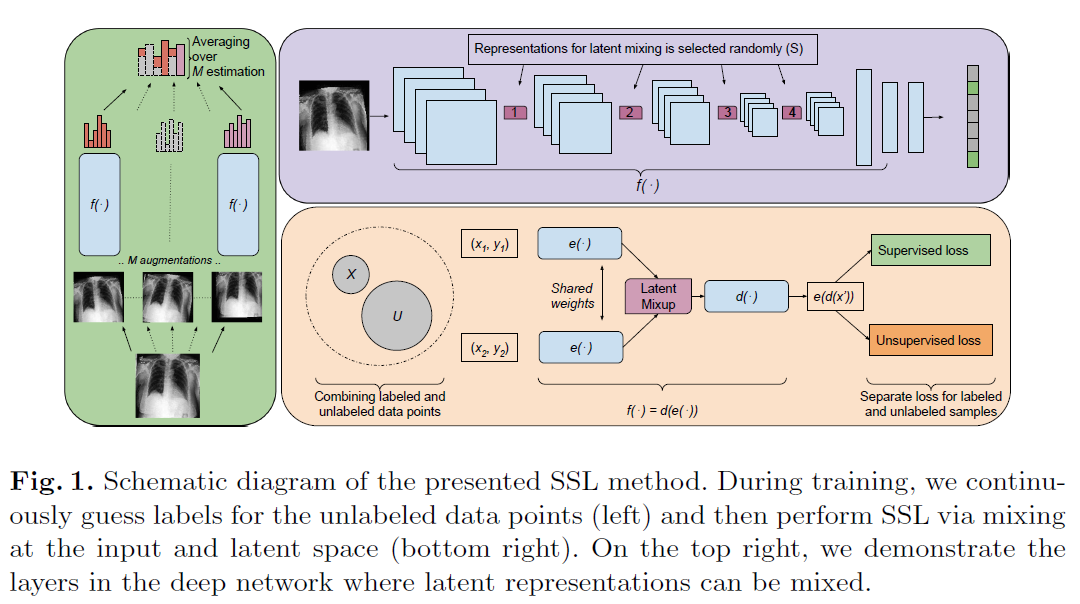 Semi-supervised Medical Image Classification with Global Latent Mixing · Issue #83 · 3D-ICE ...
