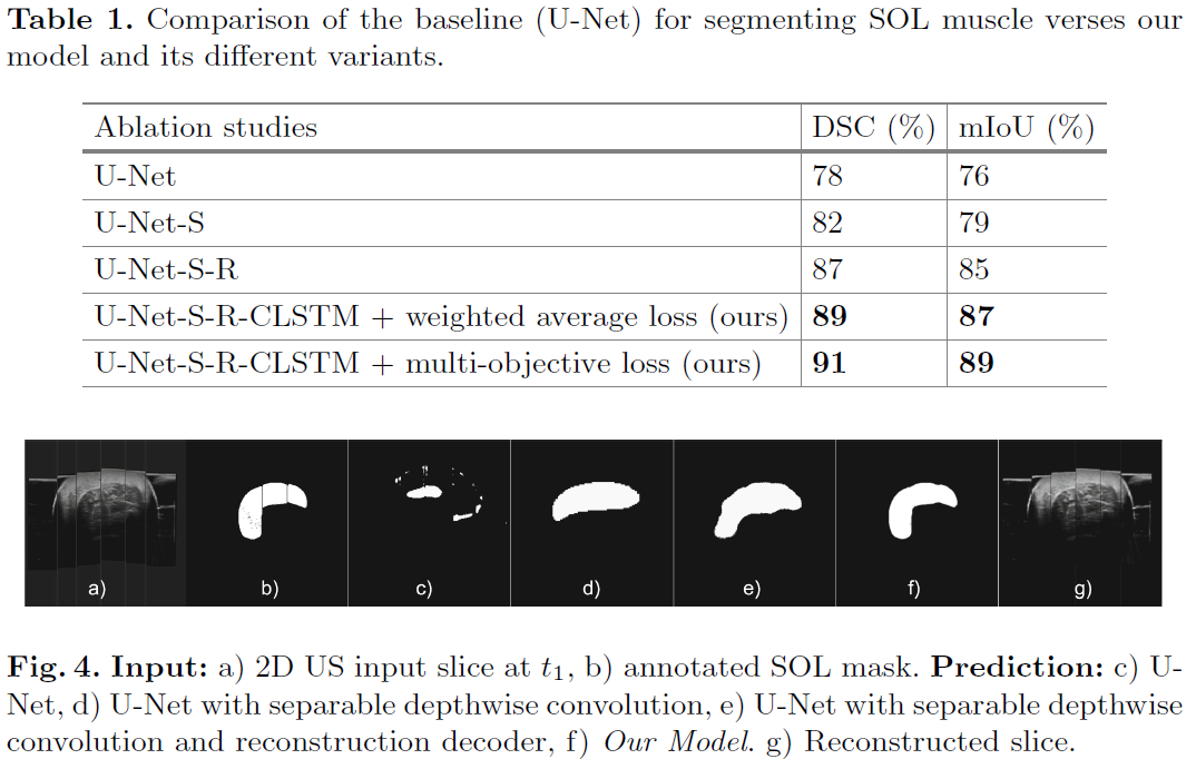 Spatio-Temporal Consistency and Negative Label Transfer for 3D Freehand US Segmentation · Issue ...