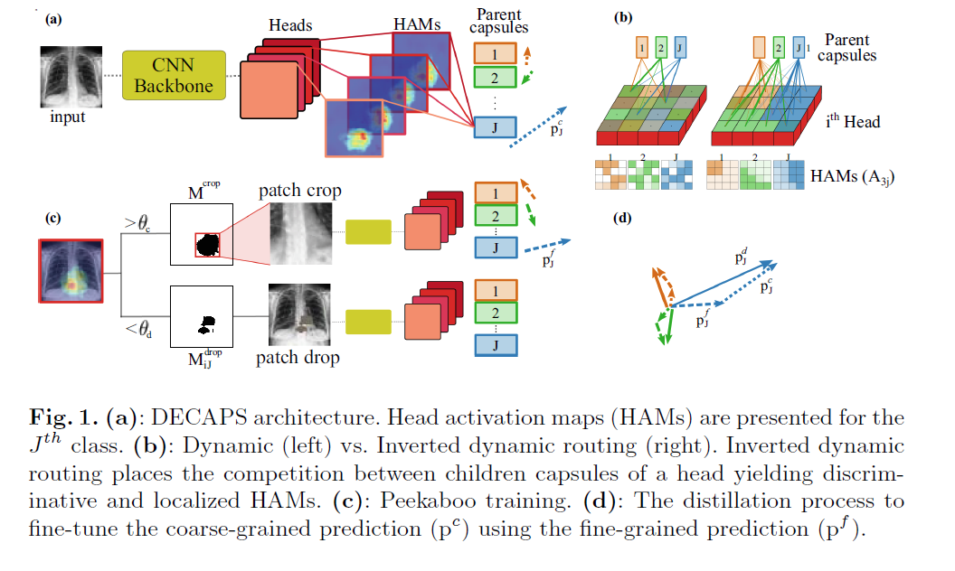 DECAPS: Detail-Oriented Capsule Networks · Issue #5 · 3D-ICE-arXiv/Papers · GitHub