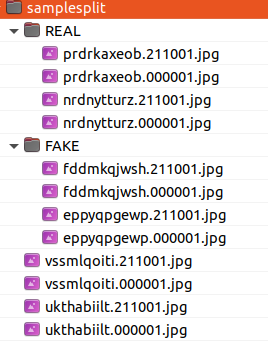 keras preprocessing data_utils.py not working for non-'inferred' labels ...