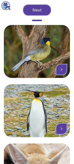 GitHub - MAlexGG/virtual-zoo
