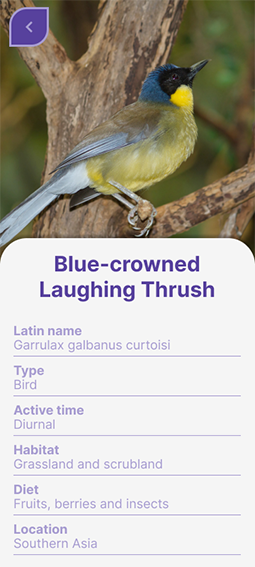 GitHub - MAlexGG/virtual-zoo