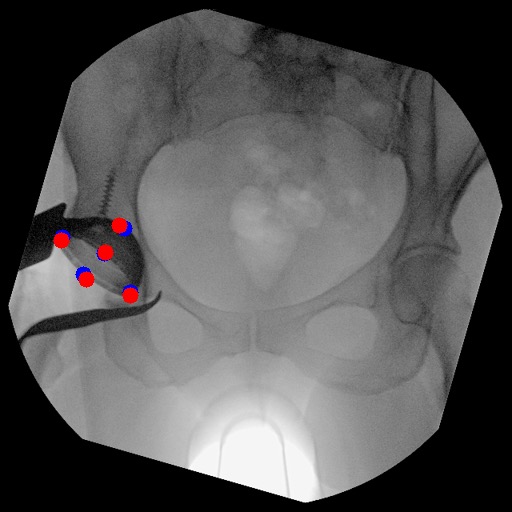 GitHub - vine-lab-vu/Label-Augmentation