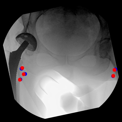 GitHub - vine-lab-vu/Label-Augmentation