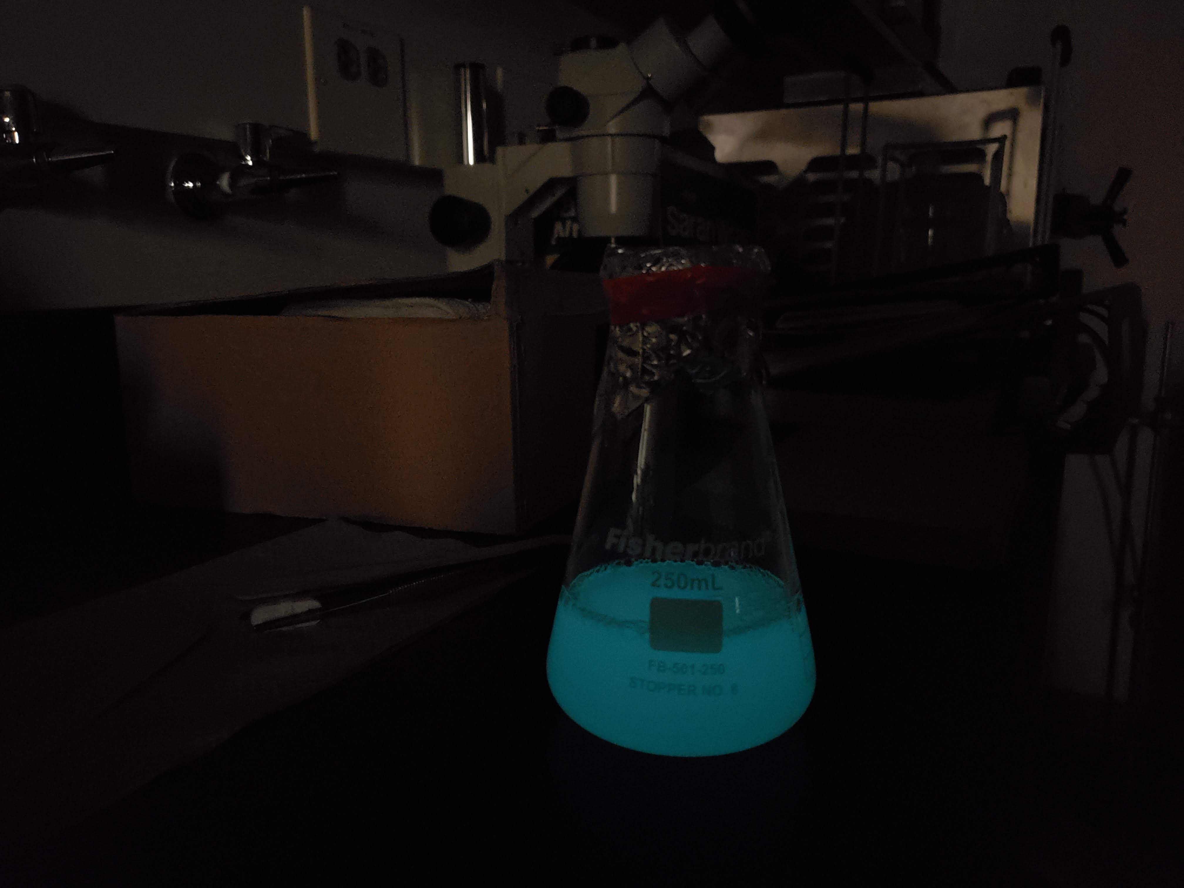 GitHub - charosa-umn/BioLumenReactor: This repository contains open-source code, cell culture ...