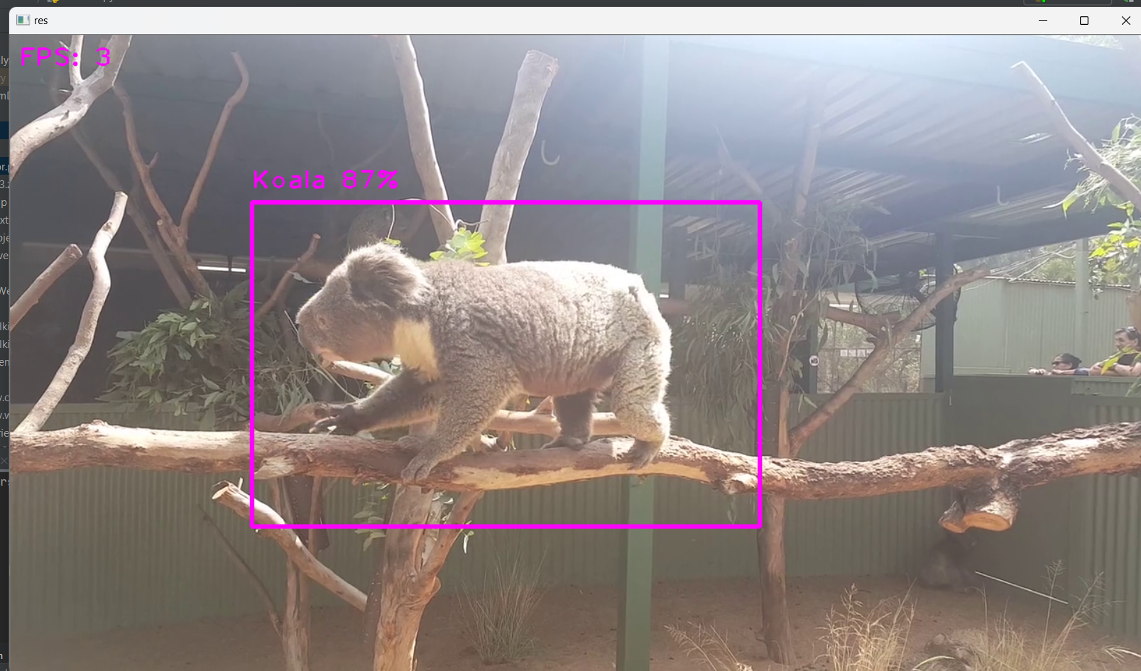 GitHub - Koks-creator/YoloKoalaDetection: Yolov3 trained on custom dataset to detect koalas