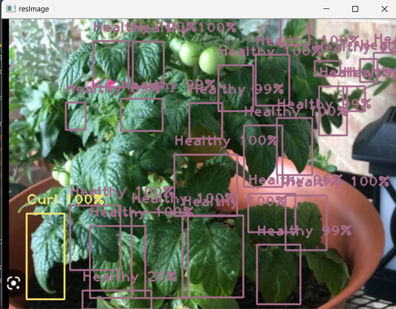 GitHub - Koks-creator/TomatoLeafsConditionApp: Web app made to check condition of tomato leafs ...