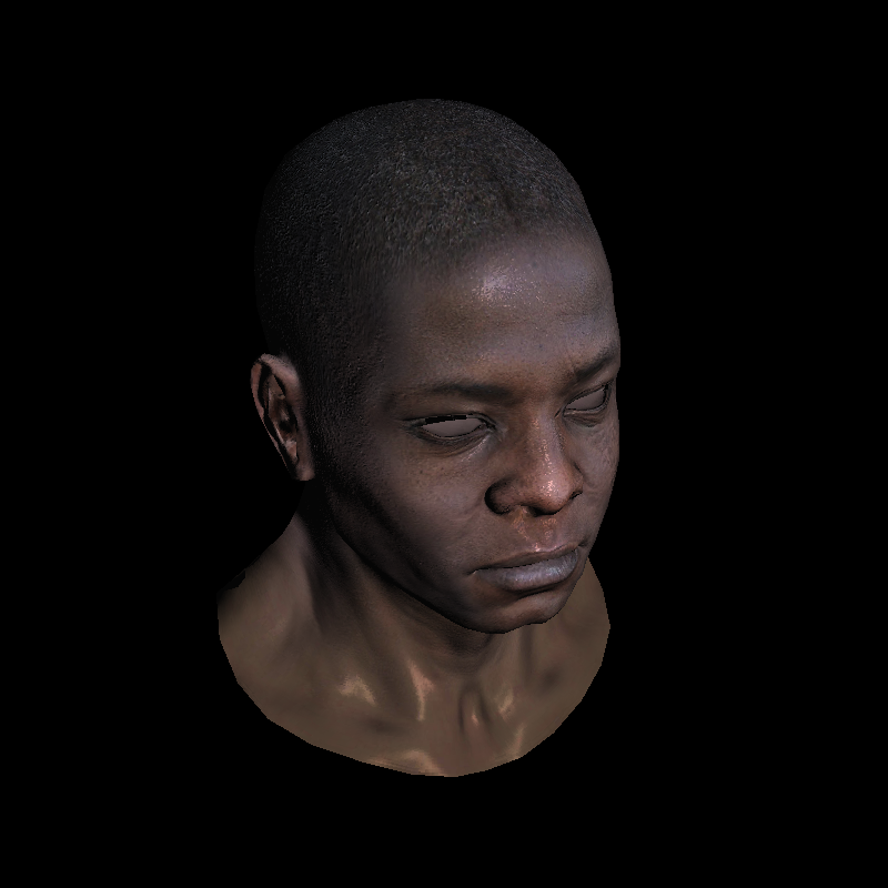 GitHub - laogewen666/tinyrenderer: A tiny renderer