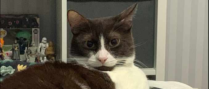 RuslanMironov (Ruslan Abdullaev) · GitHub