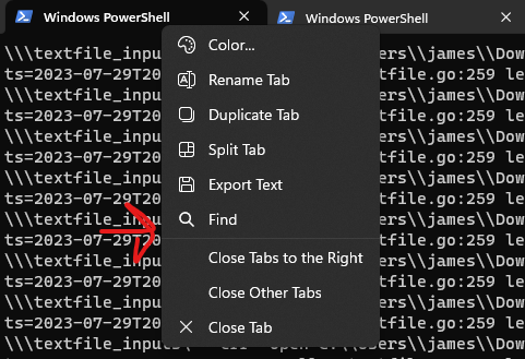 Tab Protection · Issue #15777 · microsoft/terminal · GitHub
