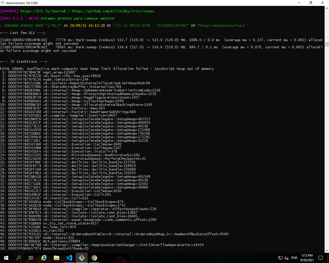 N sei qual error · Issue #271 · KillovSky/Iris · GitHub
