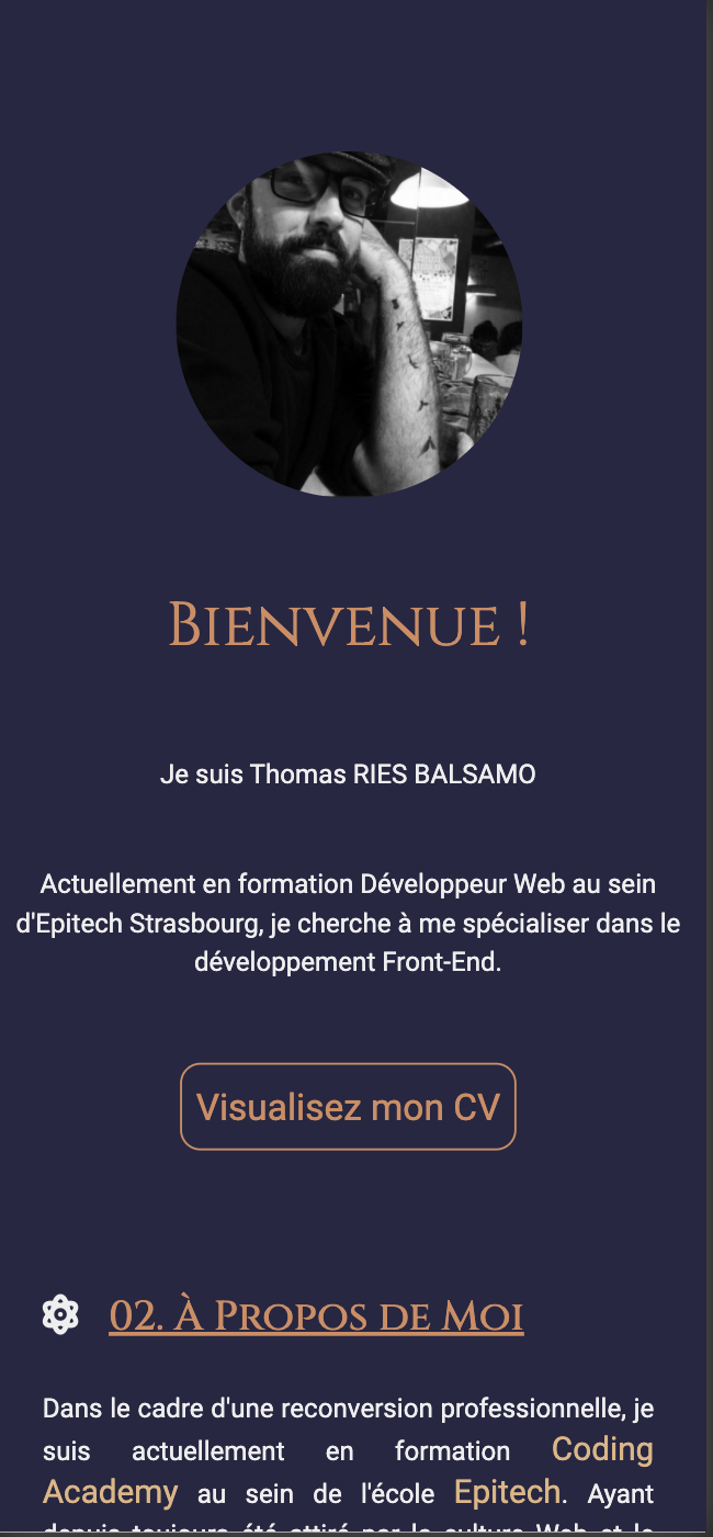 GitHub - Thomas-Ries/Resume-V1: First version of my online resume