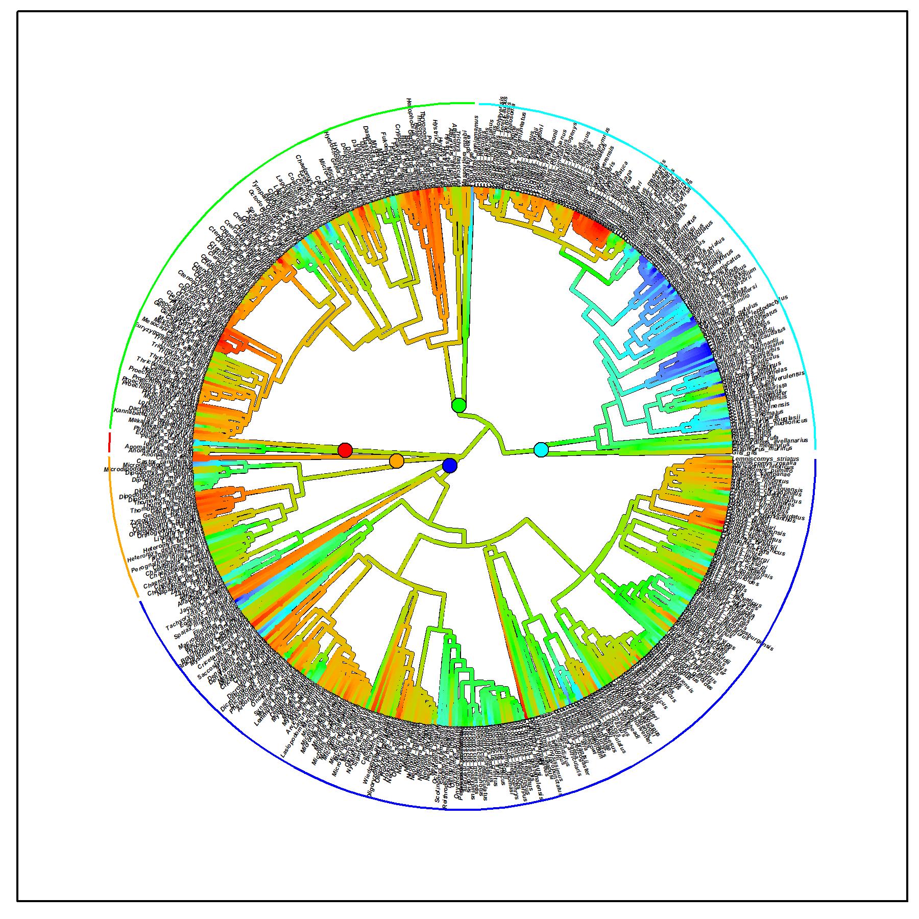Significant blank margins added around plotted figure when calling geom ...