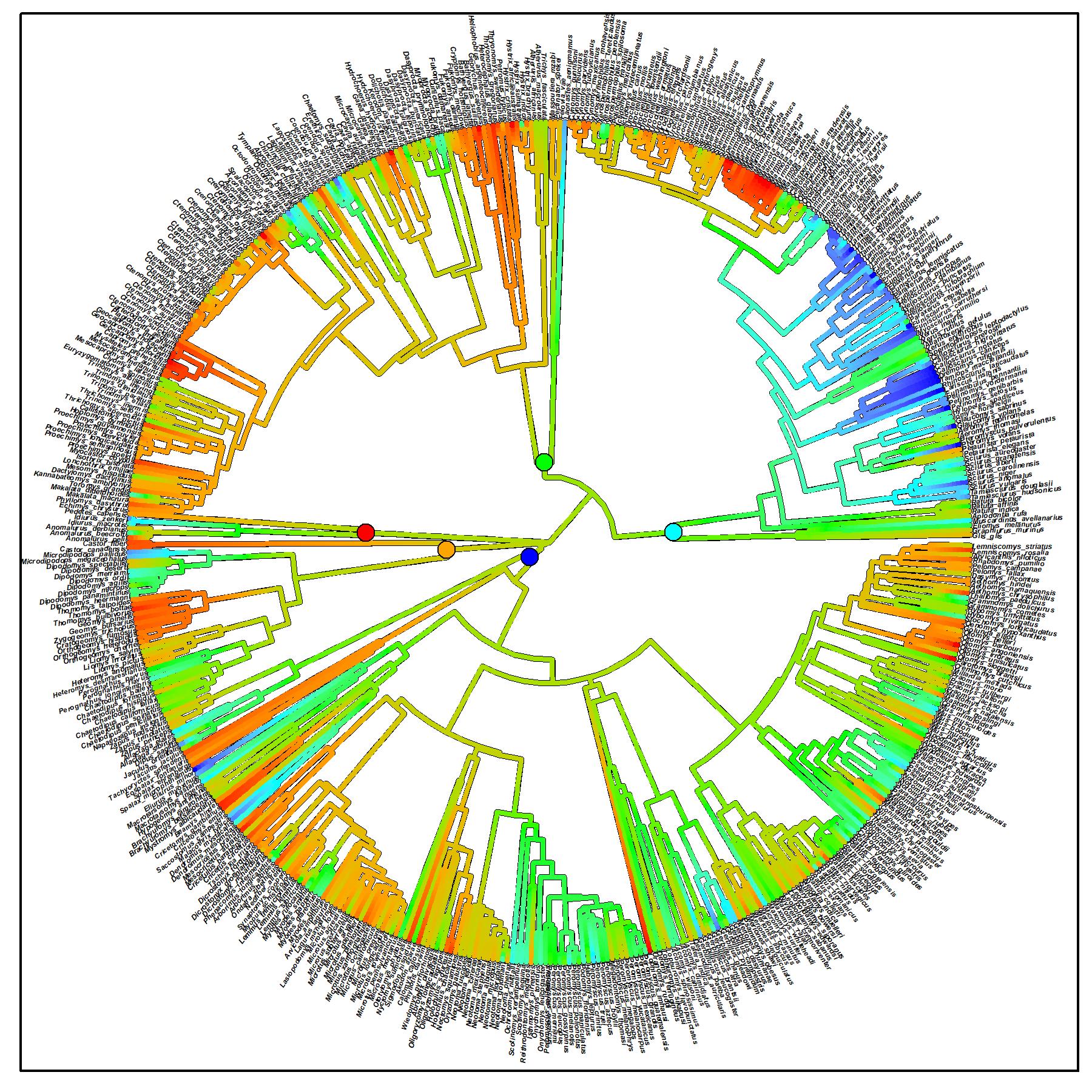Significant blank margins added around plotted figure when calling geom ...