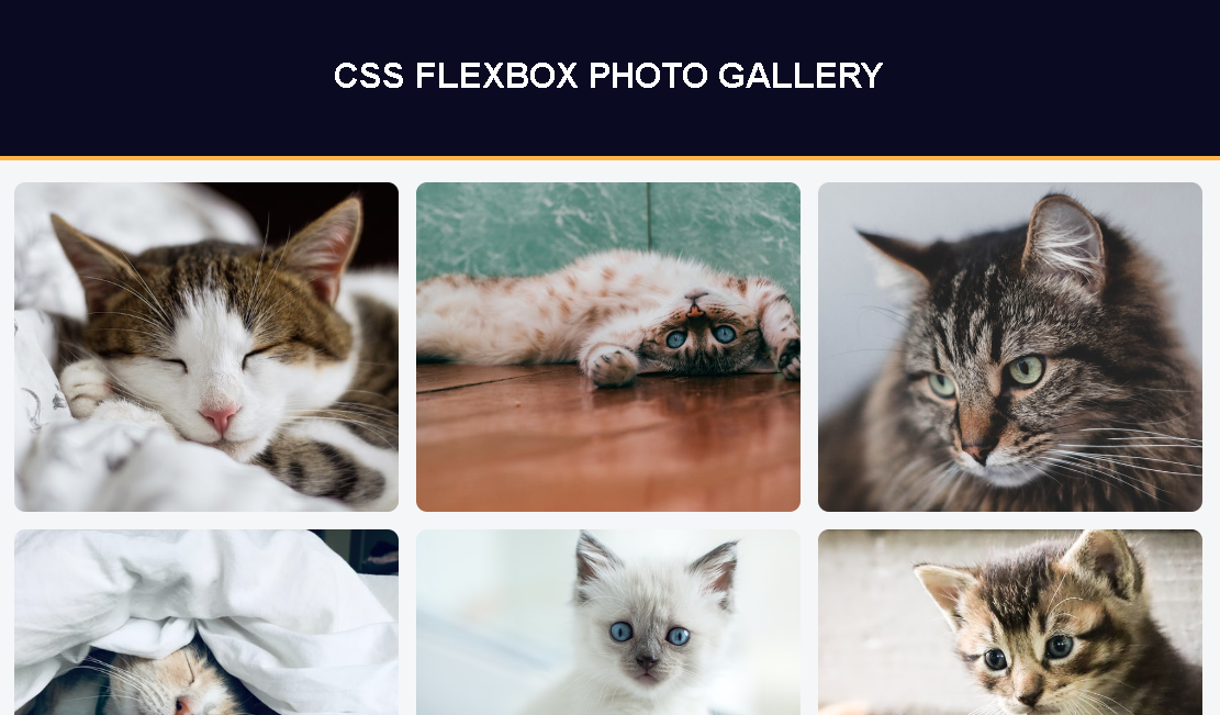 GitHub - KingGoku910/PHOTO-GALLERY-Project: I created a Flex-Box photo ...