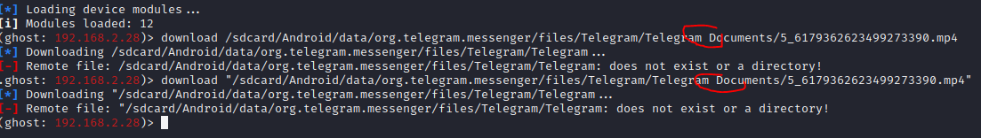 How to download when folder contains space · Issue #357 · EntySec/Ghost · GitHub