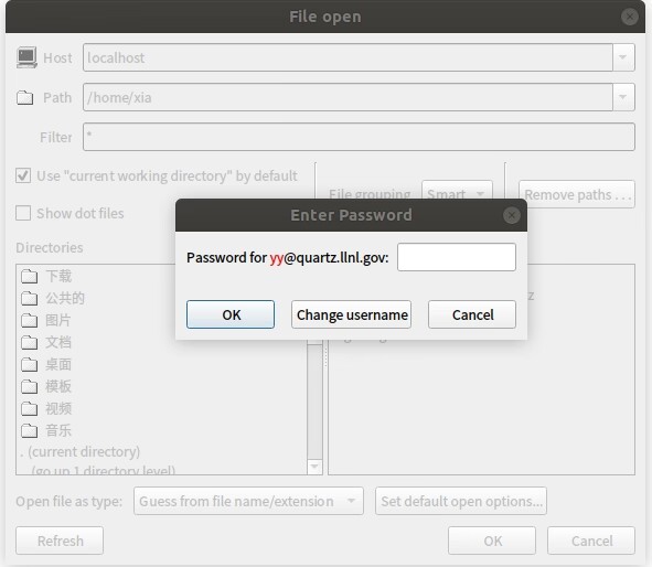 Questions about "remote usage" · Issue #18535 · visit-dav/visit · GitHub