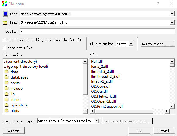 Questions about "Client Server" · Issue #18536 · visit-dav/visit · GitHub