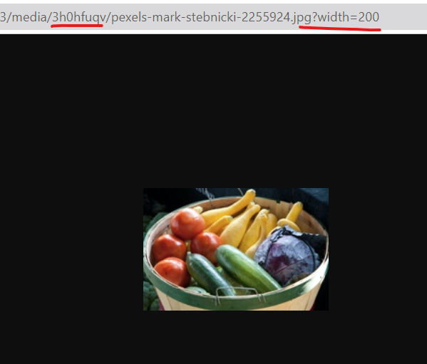 umbraco 9: imagesharp and custom virtual directory not working together · Issue #11580 · umbraco ...