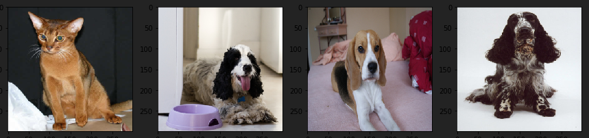 GitHub - victoria-lokteva/Cat-and-dogs-detection