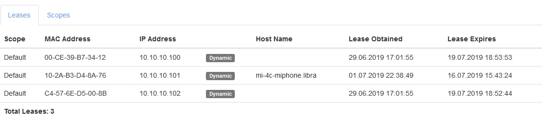 Leased IP is not freed after expire · Issue #60 · TechnitiumSoftware/DnsServer · GitHub