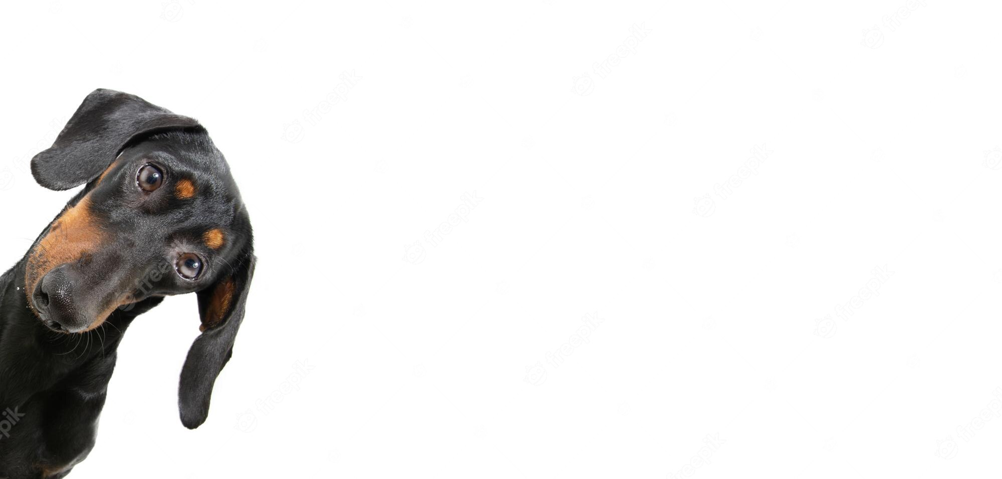 GitHub - elc117/trab-perso2-2022b-strovertz: trab-perso2-2022b-strovertz created by GitHub Classroom