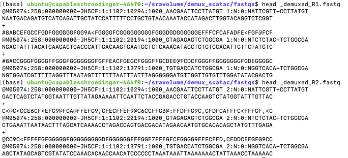 Input fastqs not from 10x Genomics · Issue #44 · wbaopaul/scATAC-pro · GitHub