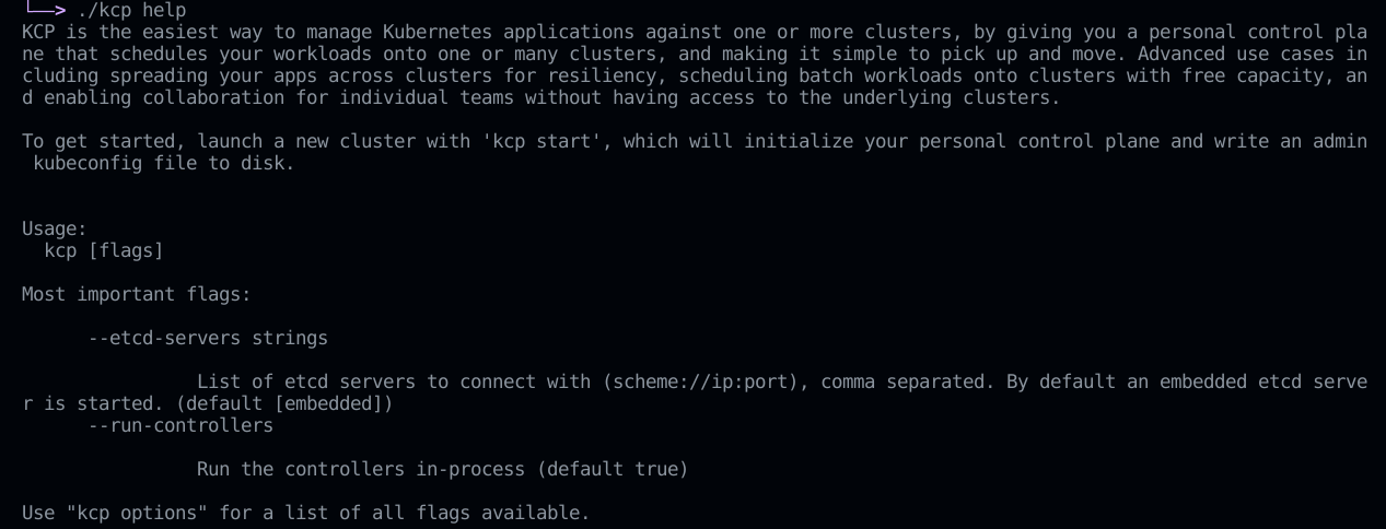 Unknown Command `options` For `kcp` · Issue 602 · Kcp Devkcp · Github 