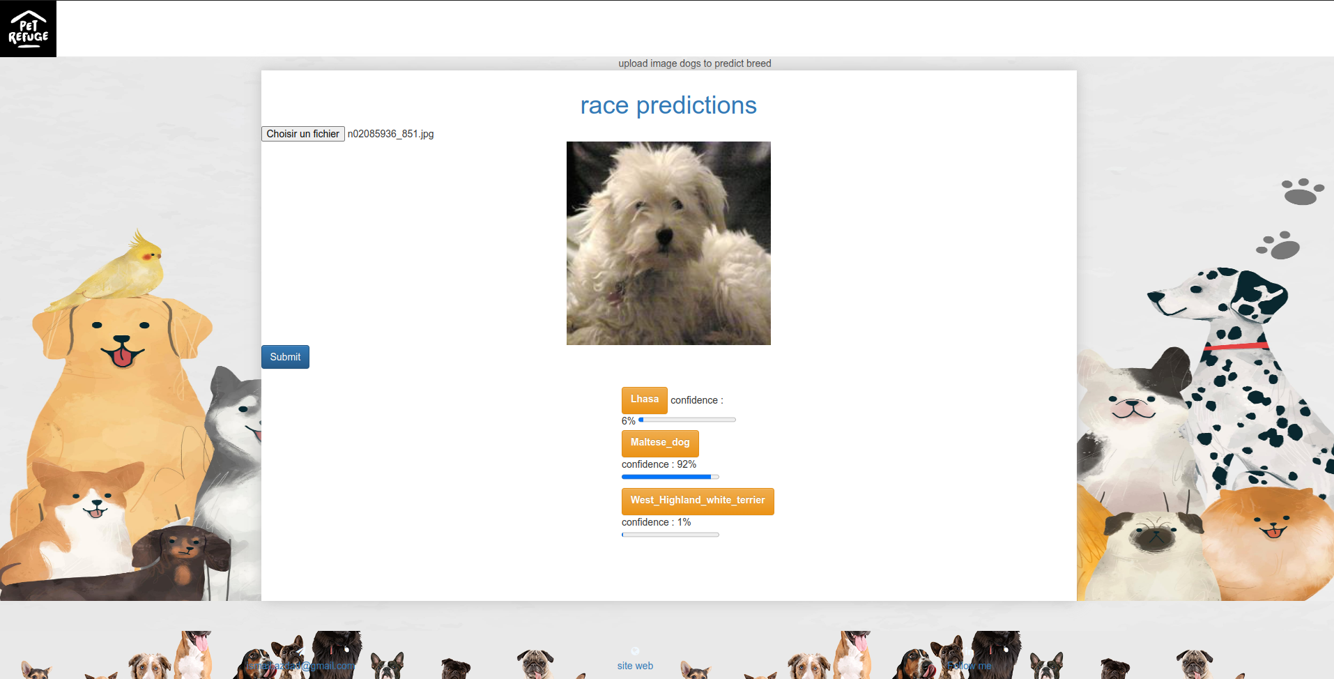 GitHub - ismailazdad/dogs_classification: Xception model predict dog ...