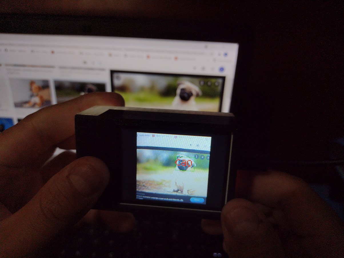 GitHub - JoaoYukio/cat_dog_detection_k210: Um detector de gatos e ...