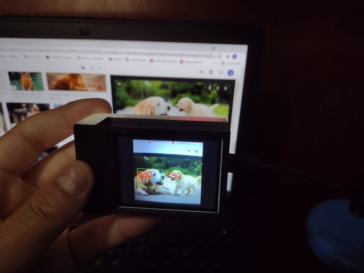 GitHub - JoaoYukio/cat_dog_detection_k210: Um detector de gatos e ...