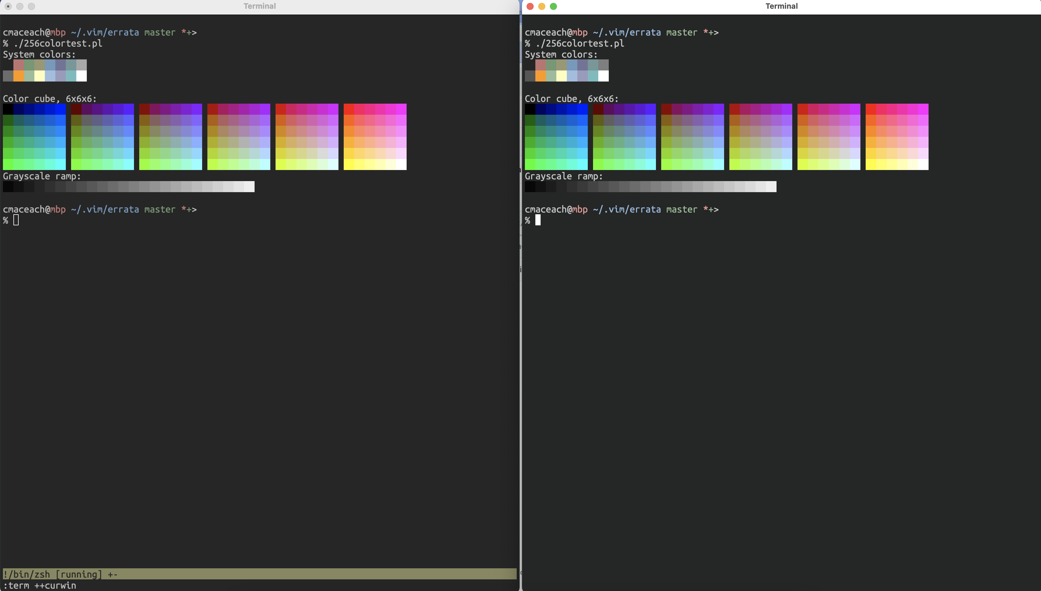 Terminal color/s slightly off in macOS Terminal.app Vim 8.2.4860 · Issue #10347 · vim/vim · GitHub