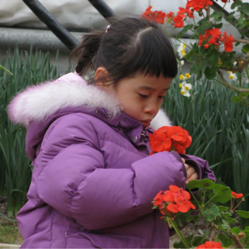 GitHub - Team-LionHeart/LionHeart-AOS