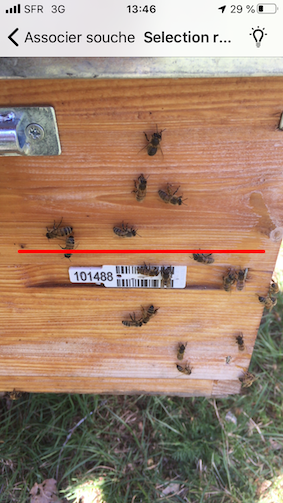 Discussion of usage in a Qt application · zxing-cpp zxing-cpp · Discussion #716 · GitHub