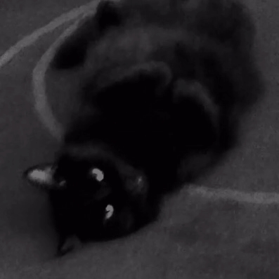 Edward7s ( XØXØ) · GitHub