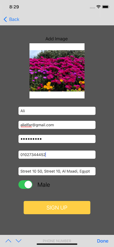 GitHub - AliMahmood99/MediaFinder