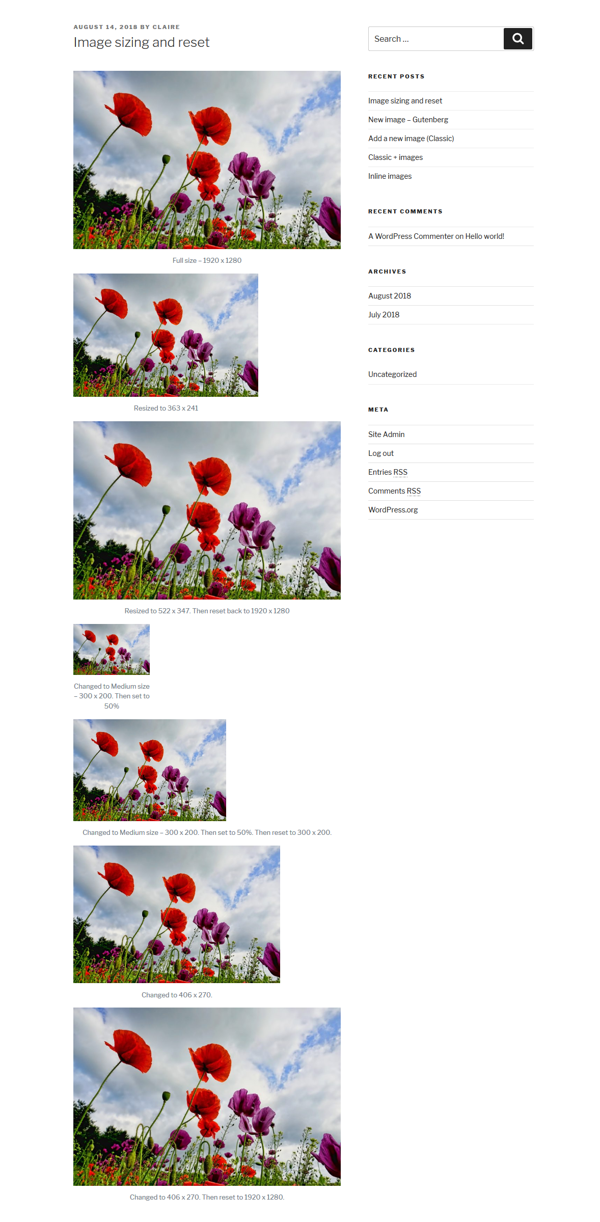 Image reset button issues after image is resized: images don't look the ...