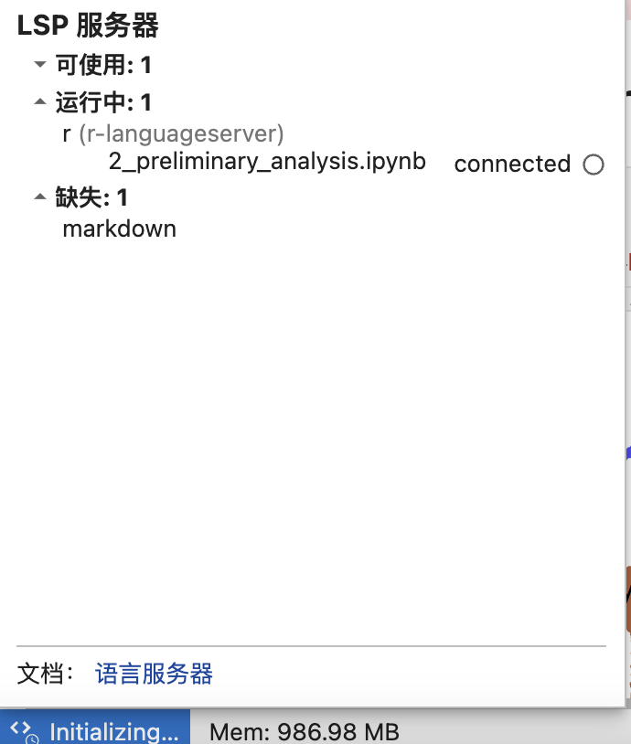 The R Languageserver Maintained The Status Of Initializing Rather Than Fully Initialized · Issue