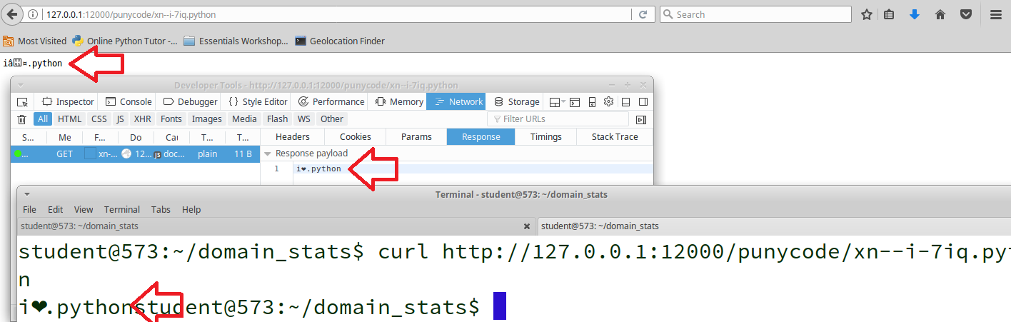 Feature Request: Punycode/IDN Reversal · Issue #11 · MarkBaggett/domain_stats · GitHub