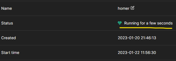 ports and ip address is '-' · Issue #592 · bastienwirtz/homer · GitHub