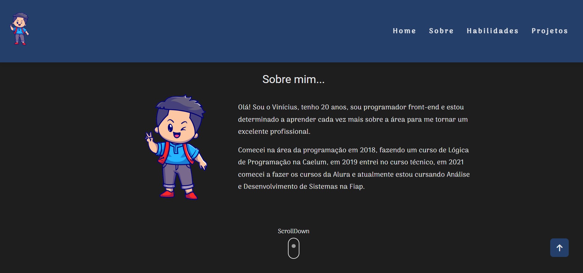 GitHub - Vinicius-Boschi/Portfolio