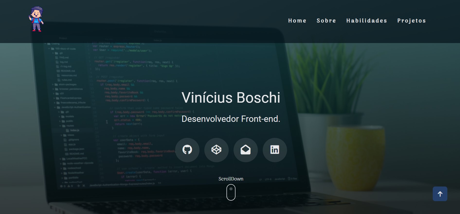 GitHub - Vinicius-Boschi/Portfolio