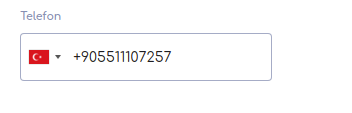 Specifying format to display · Issue #379 · webcat12345/ngx-intl-tel ...