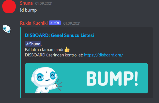 GitHub - Bedoff/Discord-bump-selfbot
