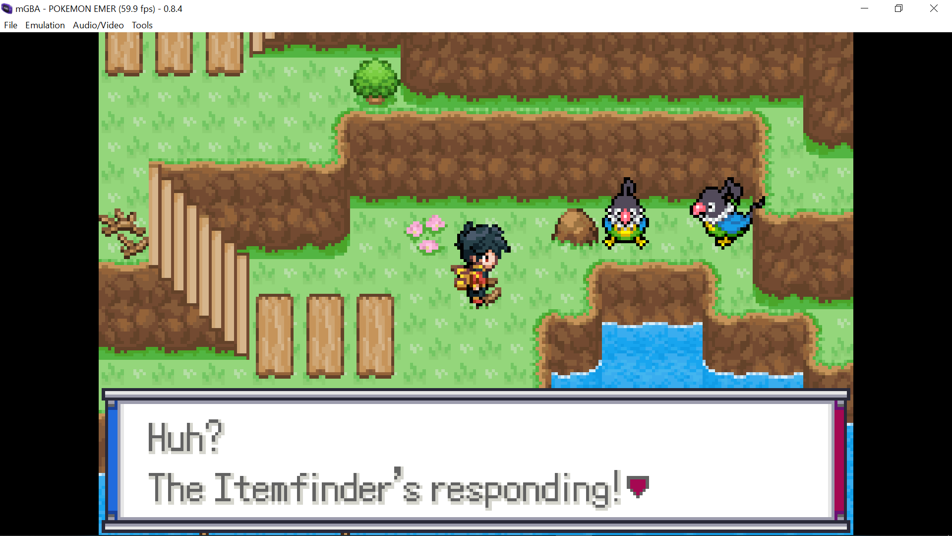 A hidden item in Hesperia City that the Itemfinder detects cannot be obtained · Issue #385 ...